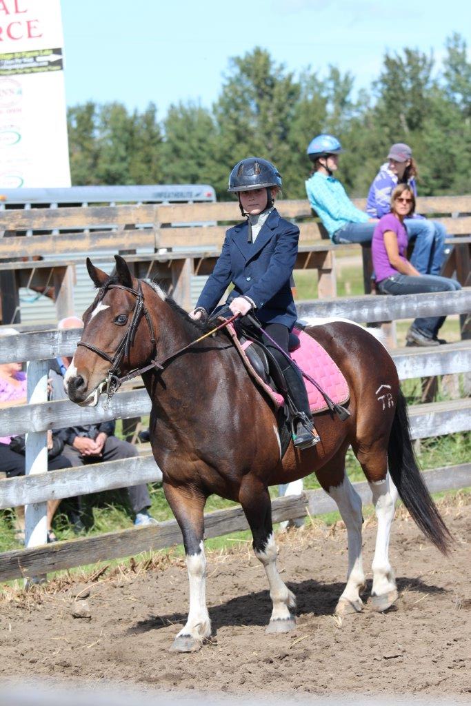 August 31 Horse Show Entries